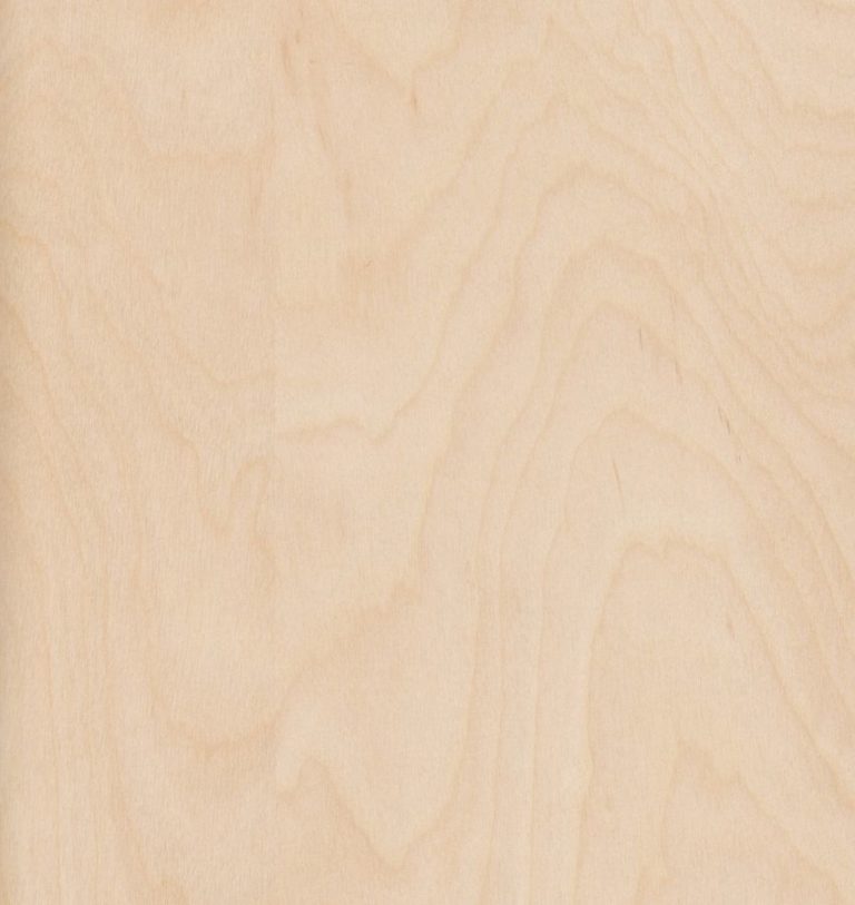 Our Gallery | Ekan Concepts