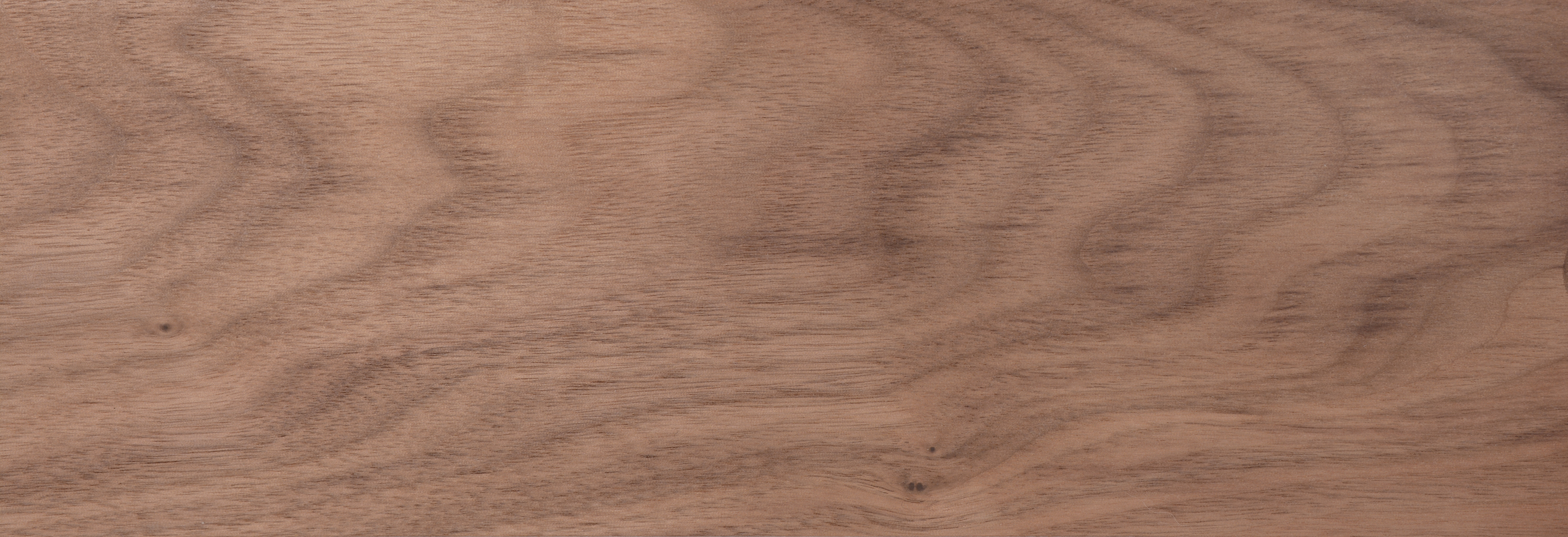Our Gallery | Ekan Concepts
